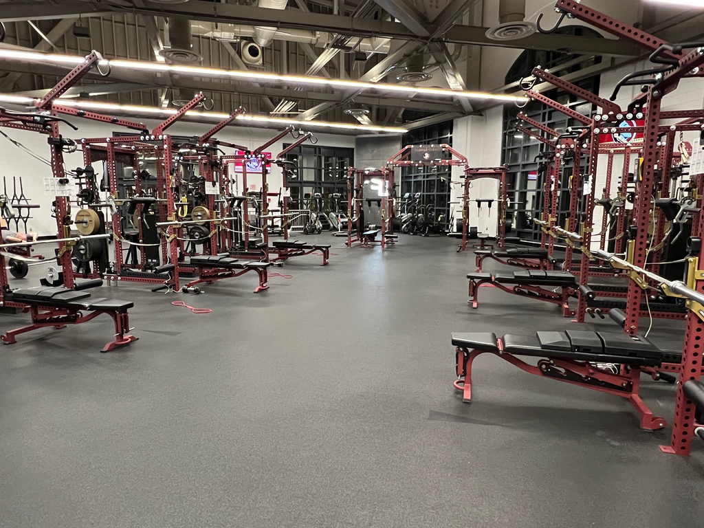 Buy Portable Launch Pad Online | Advanced Muscle Mechanics